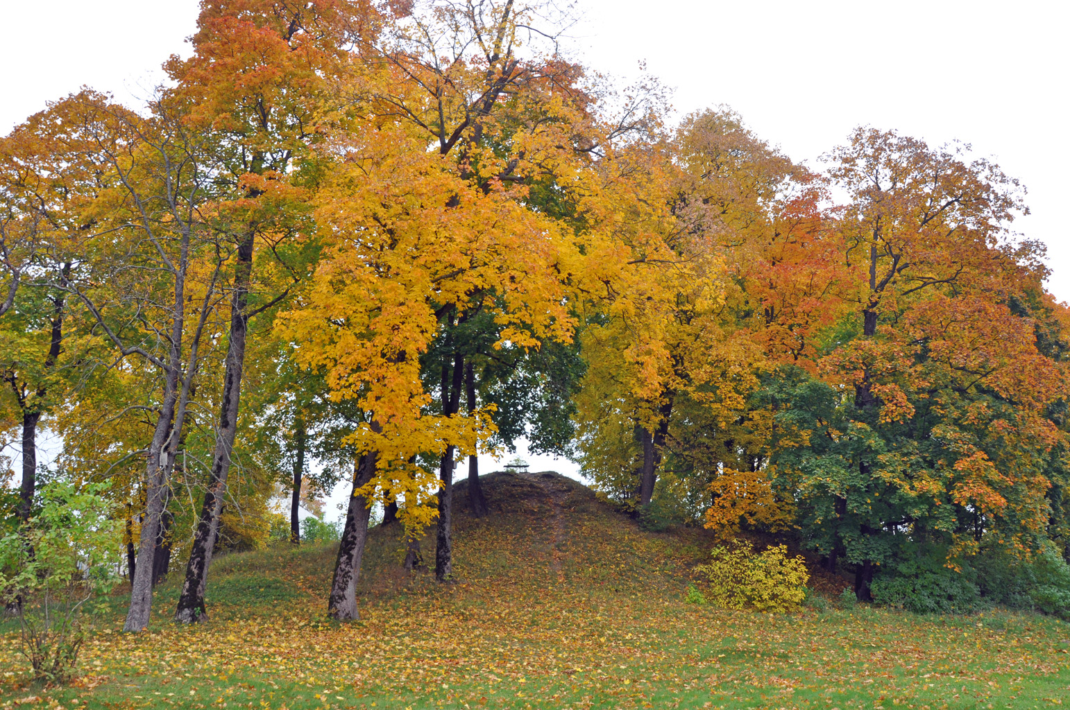 Kretingos dvaro parko apžvalgos kalnelis